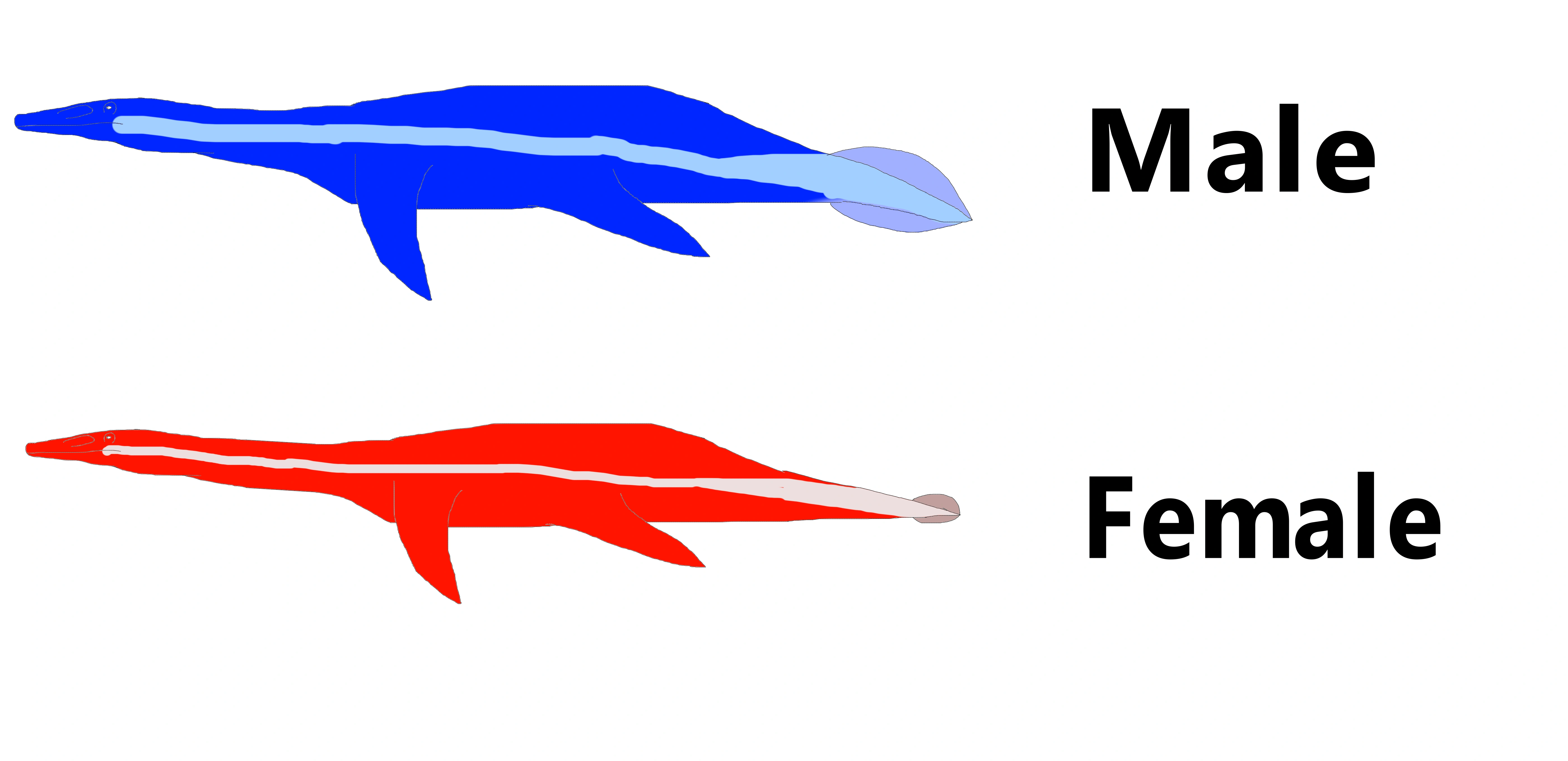 Hauffiosaurus BFDI | Fandom