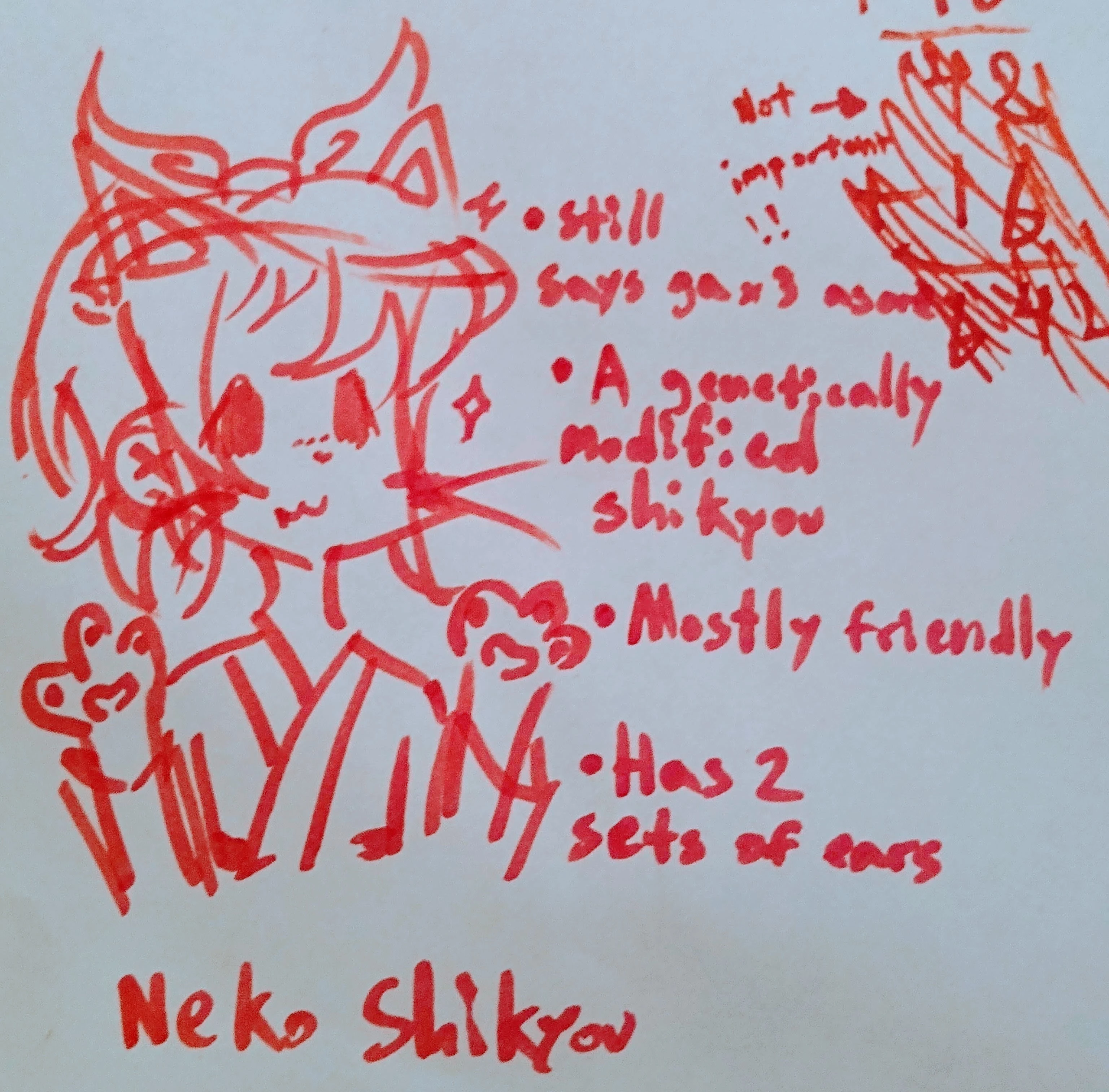 Neko Shikyou lore B-) | Fandom