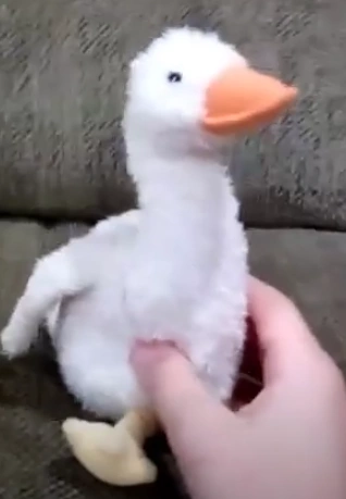 Gus | 1st Grade Wiki | Fandom