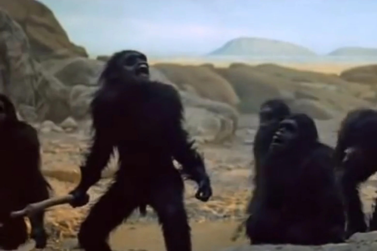 2001 A Space Odyssey Monolith Monkeys