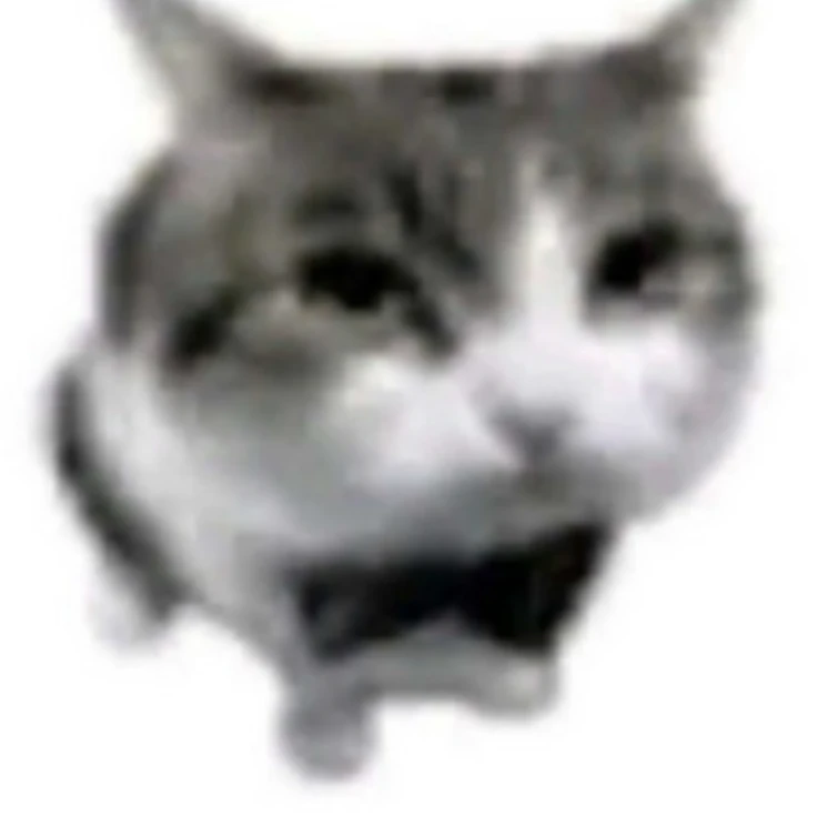 give this cat a COS related POV | Fandom