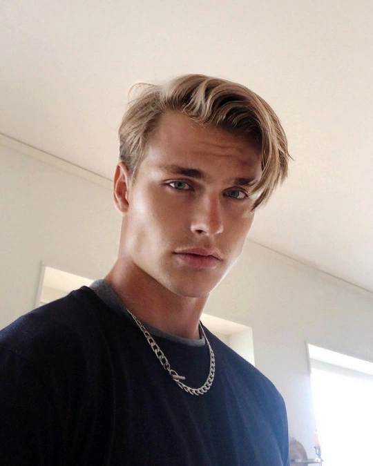 I think I found a wayyy better Tamlin | Fandom