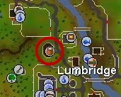Lumbridge General Store | 2006scape Wiki | Fandom