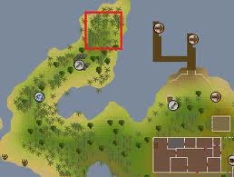 Magic Whistle | 2006scape Wiki | Fandom