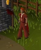 Dragon Halberd | 2006scape Wiki | Fandom