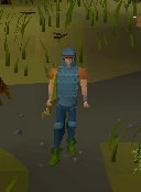 Rune chainbody | 2006scape Wiki | Fandom