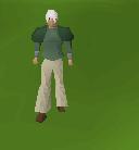 Adamant platebody | 2006scape Wiki | Fandom