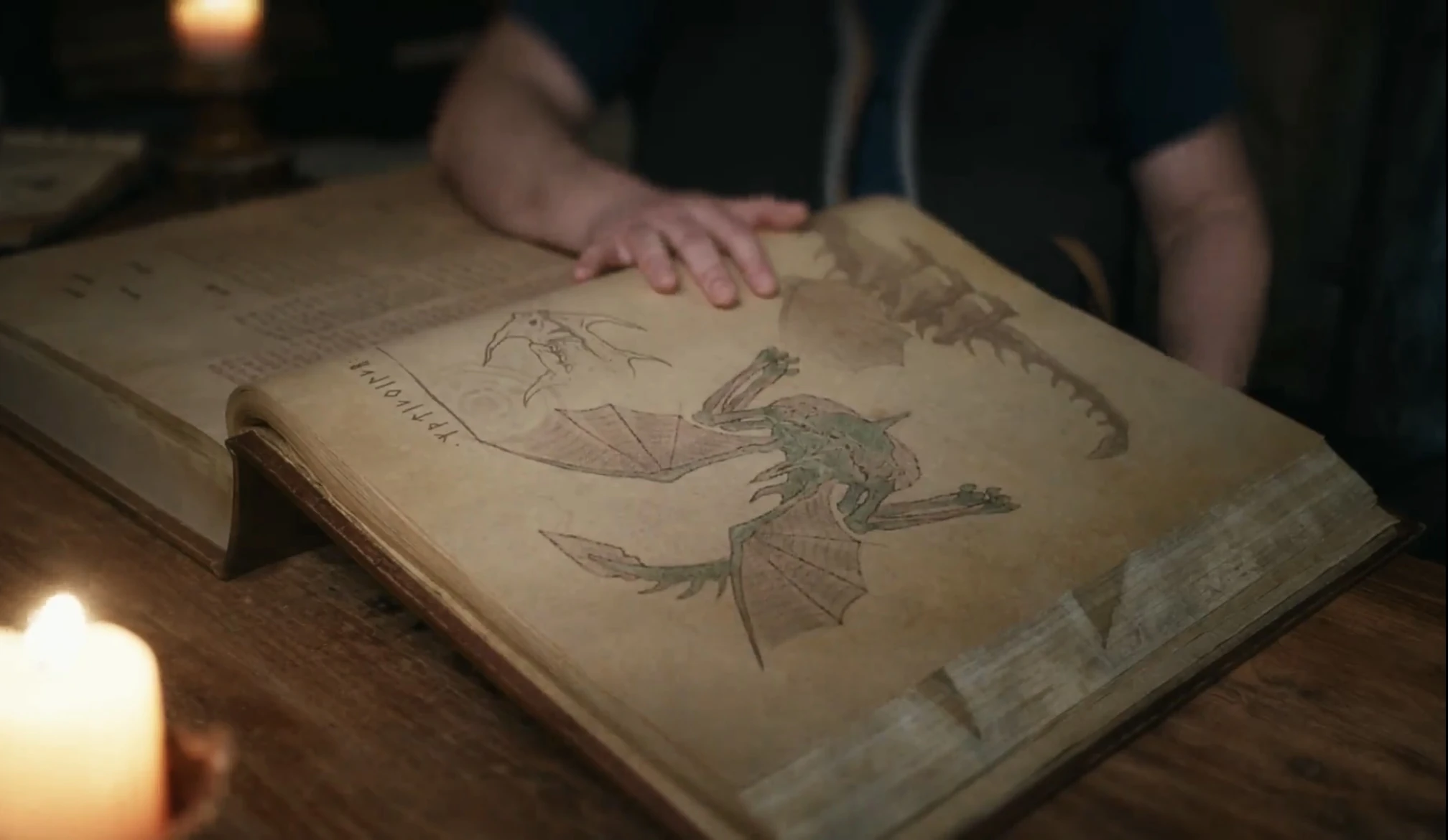 New dragons from the live action dragon manual | Fandom