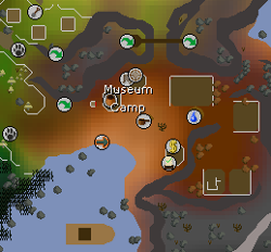 Museum Camp | Old School RuneScape Wiki | Fandom