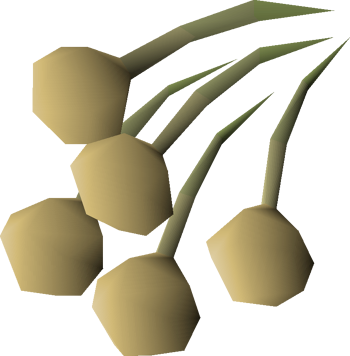 Onion seed | Old School RuneScape Wiki | Fandom