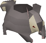 Black chinchompa (Hunter) | Old School RuneScape Wiki | Fandom
