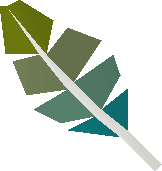 Stripy feather | Old School RuneScape Wiki | Fandom