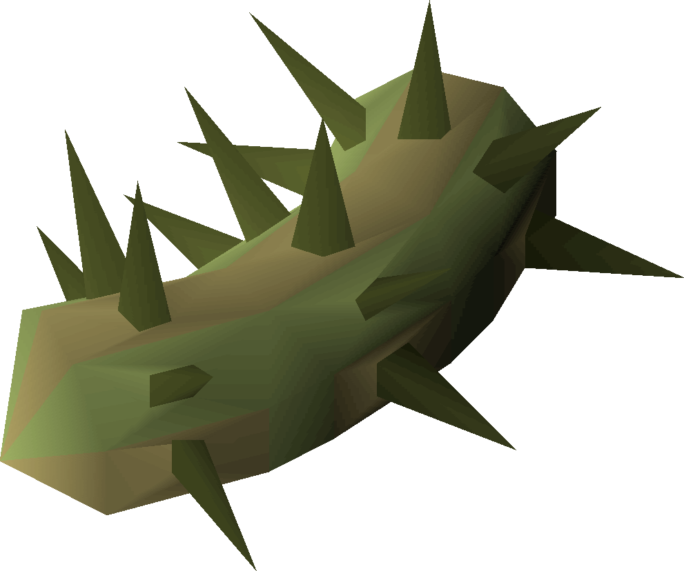 Potato cactus | Old School RuneScape Wiki | Fandom