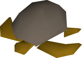 Sea turtle | Old School RuneScape Wiki | Fandom