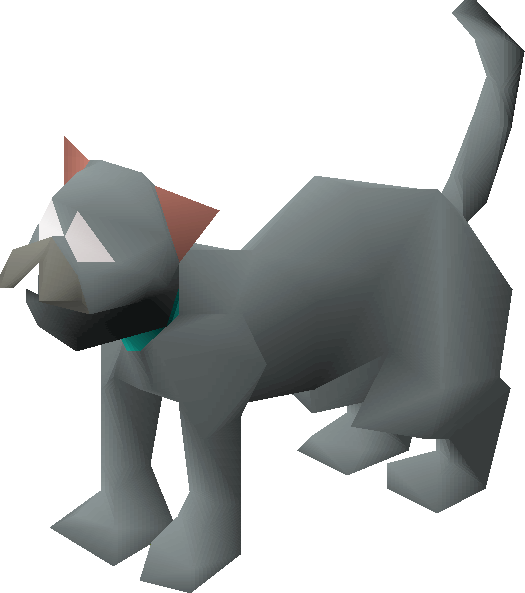 Bones (kitten) | Old School RuneScape Wiki | Fandom