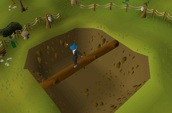 Gnome Stronghold Agility Course | Old School RuneScape Wiki | Fandom