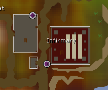 Infirmary | Old School RuneScape Wiki | Fandom