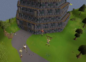 Tower of Life (building) | Old School RuneScape Wiki | Fandom
