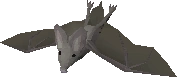 Giant bat | Old School RuneScape Wiki | Fandom