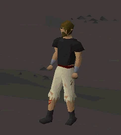 Spellbook Swap | Old School RuneScape Wiki | Fandom