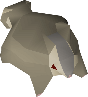 Chinchompa | Old School RuneScape Wiki | Fandom