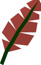 Red feather | Old School RuneScape Wiki | Fandom