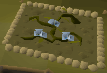 Blindweed seed | Old School RuneScape Wiki | Fandom