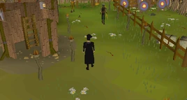 Ranging Guild | Old School RuneScape Wiki | Fandom