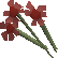 Exotic flower | Old School RuneScape Wiki | Fandom