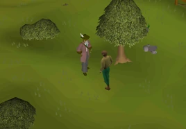 Rasolo the Wandering Merchant | Old School RuneScape Wiki | Fandom