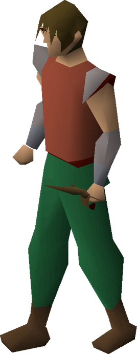 Bronze defender | Old School RuneScape Wiki | Fandom
