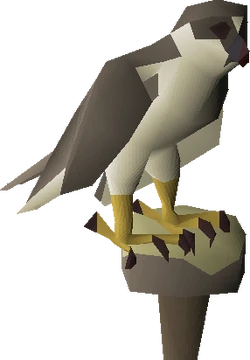 falcon hunting osrs
