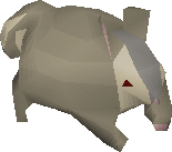 Chinchompa (Hunter) | Old School RuneScape Wiki | Fandom