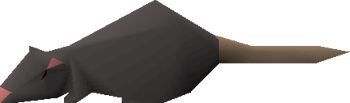 Rat | Old School RuneScape Wiki | Fandom
