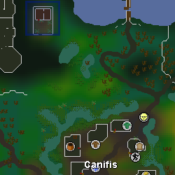 Old crone | Old School RuneScape Wiki | Fandom