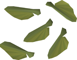 Maple seed | Old School RuneScape Wiki | Fandom