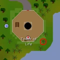 Tower of Life | Old School RuneScape Wiki | Fandom