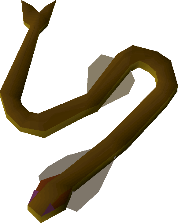 Cave eel | Old School RuneScape Wiki | Fandom