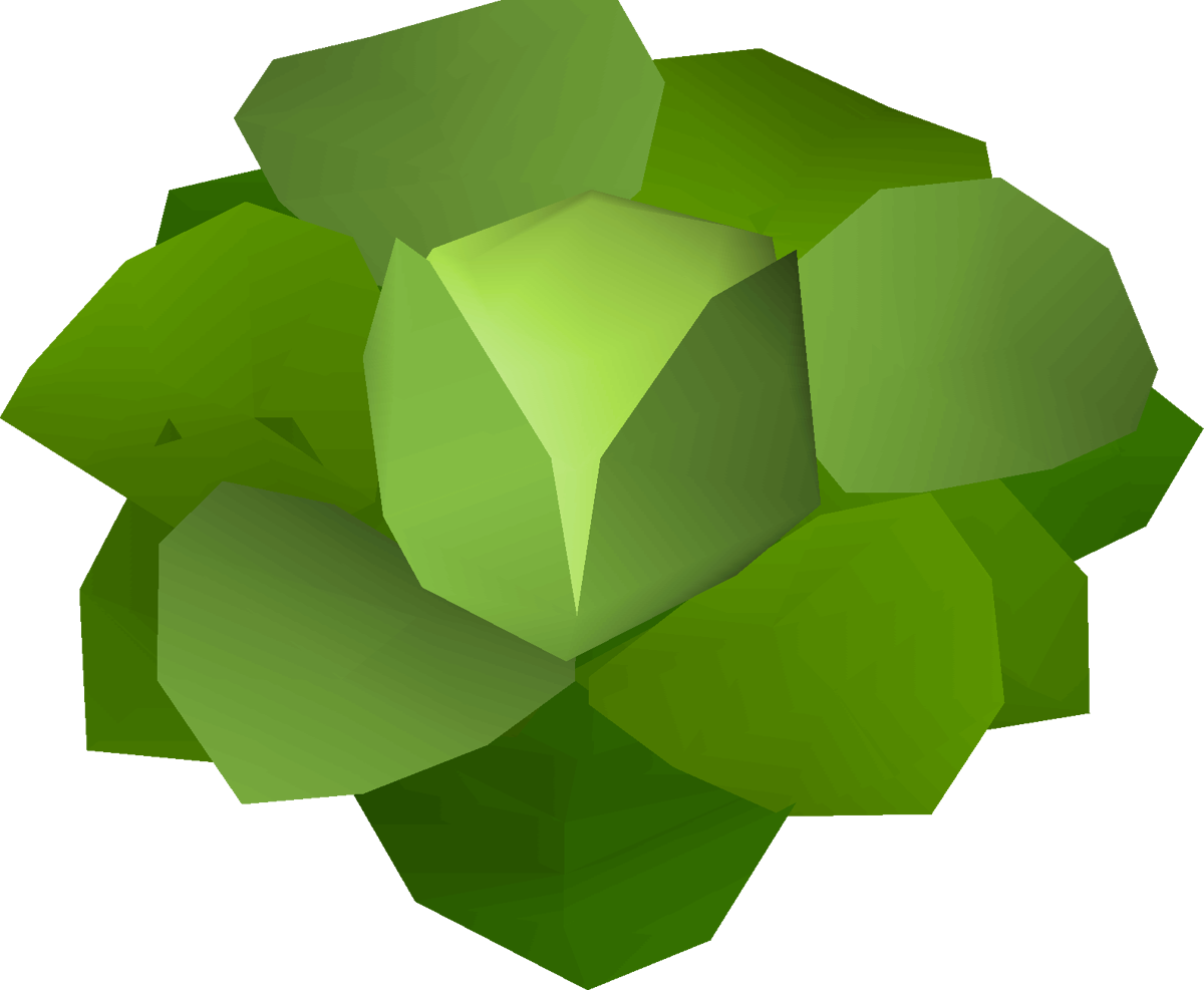 Cabbage | Old School RuneScape Wiki | Fandom