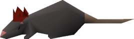 Rat | Old School RuneScape Wiki | Fandom