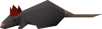 Rat | Old School RuneScape Wiki | Fandom