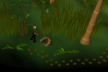 Feldip Weasel | Old School RuneScape Wiki | Fandom