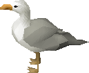 Seagull | Old School RuneScape Wiki | Fandom
