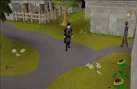 Seers' Village | Old School RuneScape Wiki | Fandom