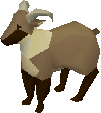 Goat | Old School RuneScape Wiki | Fandom