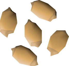 Palm tree seed | Old School RuneScape Wiki | Fandom