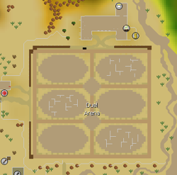 Duel Arena | Old School RuneScape Wiki | Fandom
