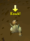 Chompy bird | Old School RuneScape Wiki | Fandom