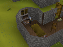 Fight Arena | Old School RuneScape Wiki | Fandom