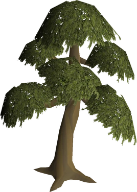 Yew tree (Construction) | Old School RuneScape Wiki | Fandom